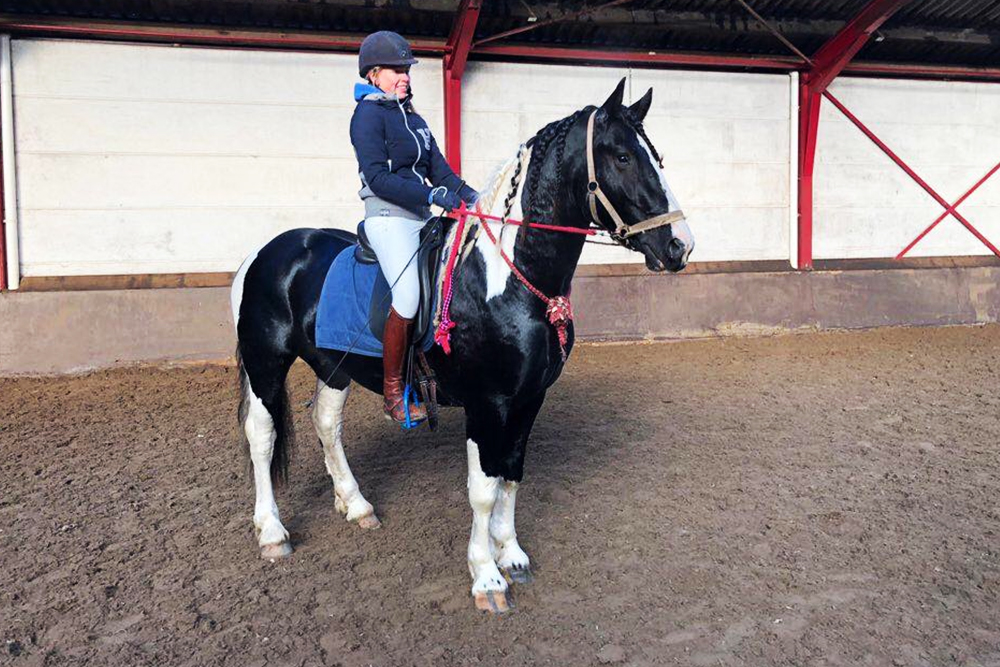 Training - Stal De Voorsprong